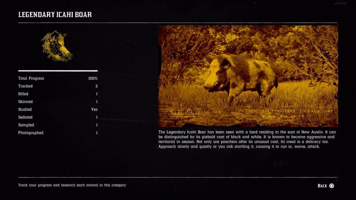 Red Dead Online Ichai Boar Location: how to find in 3 easy steps