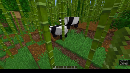 Minecraft Find Panda: 3 easy steps to capture