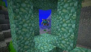 Minecraft Nautilus Shells: 3 Easy steps to Get Them