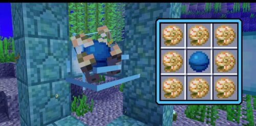 Minecraft Nautilus Shells: 3 Easy steps to Get Them