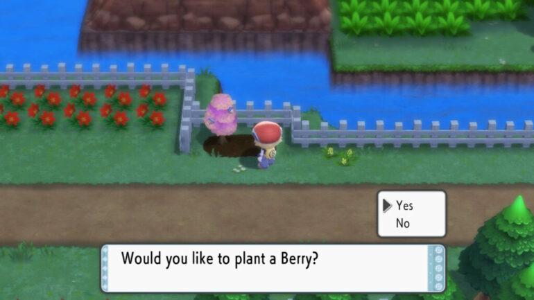Easy Guide to Get Berries in Pokemon Brilliant Diamond & Shining Pearl ...