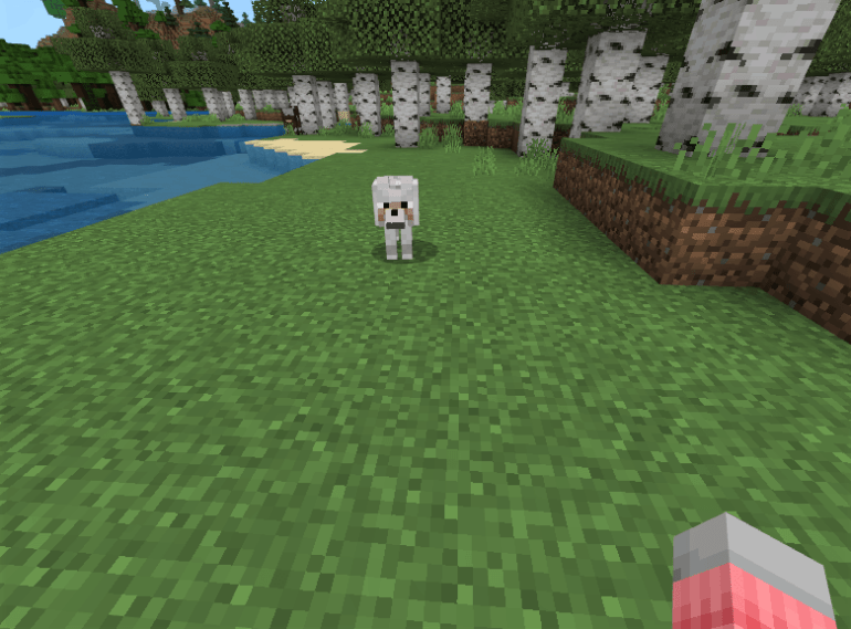 Minecraft: Easy Guide to Tame Dogs [2023] - Ask Gamer